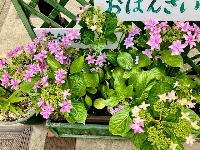 5/13（月）～19（土）までのランチタイム限定日替わり弁当のメインメニュー | 京都・常盤のお惣菜専門店『ときわ・OSANDO』