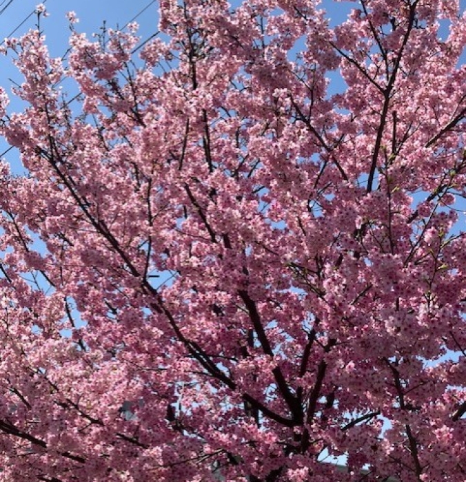 OSANDO’s Diary | 京都・常盤のお惣菜専門店『ときわ・OSANDO』